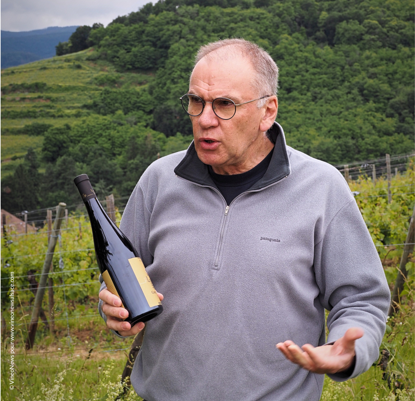 Louis Sipp - Les Petits Producteurs